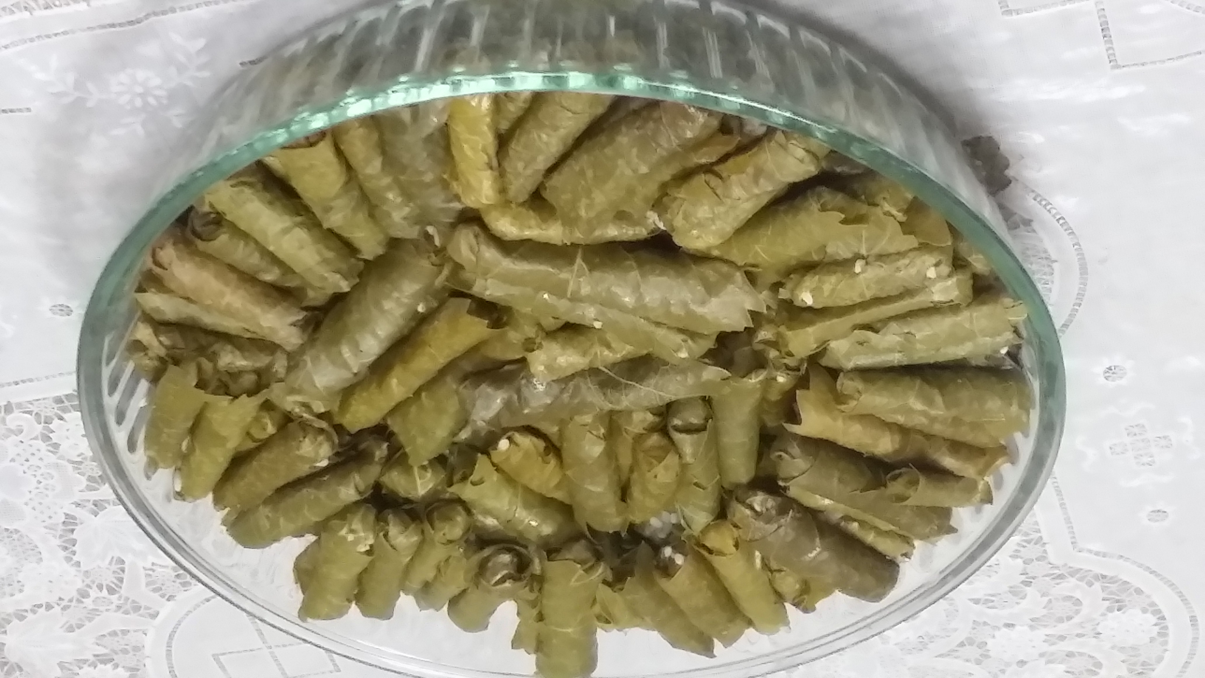 %d9%a2%d9%a0%d9%a1%d9%a6%d9%a0%d9%a8%d9%a0%d9%a8_%d9%a1%d9%a5%d9%a5%d9 ...