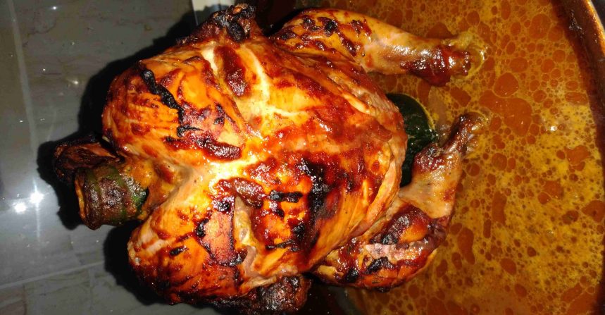 دجاج محمر - زاكي